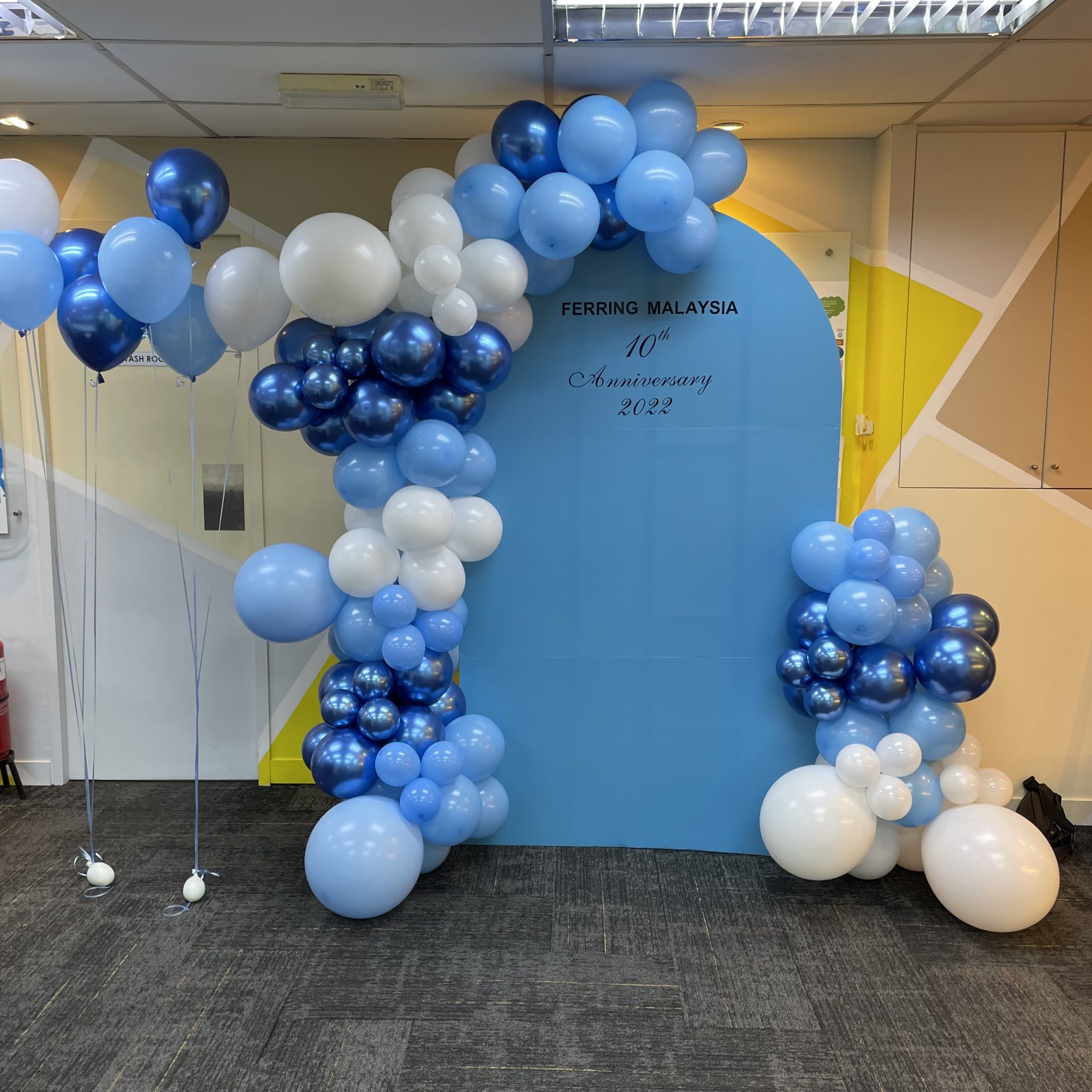 Foamboard Backdrop Package | Partylicious